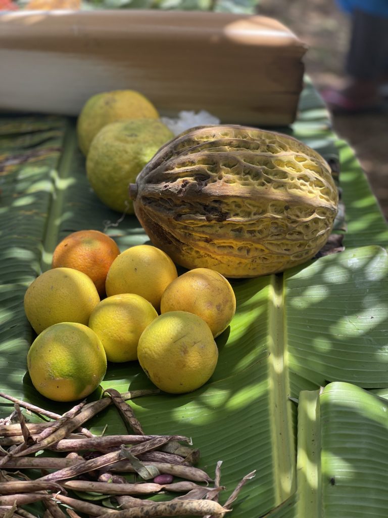 Perú tiene más: Los 30 años de “La Patarashca“ y el deber de mirar más ...