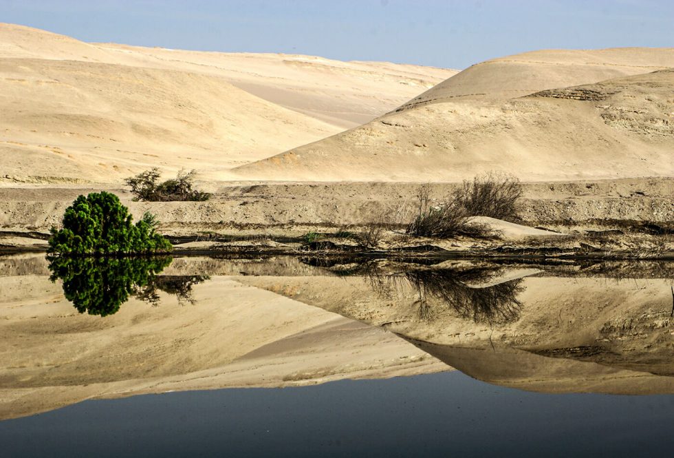 Samaca: Alberto Benavides y el oasis que transforma la costa peruana ...